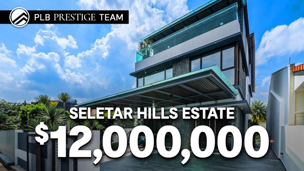 Melvin Lim - PropertyLimBrothers